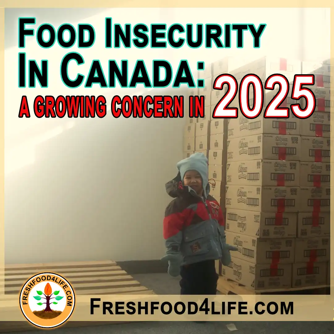 Food Insecurity In Canada: A Growing Concern in 2025 - FRESHFOOD4LIFE.COM